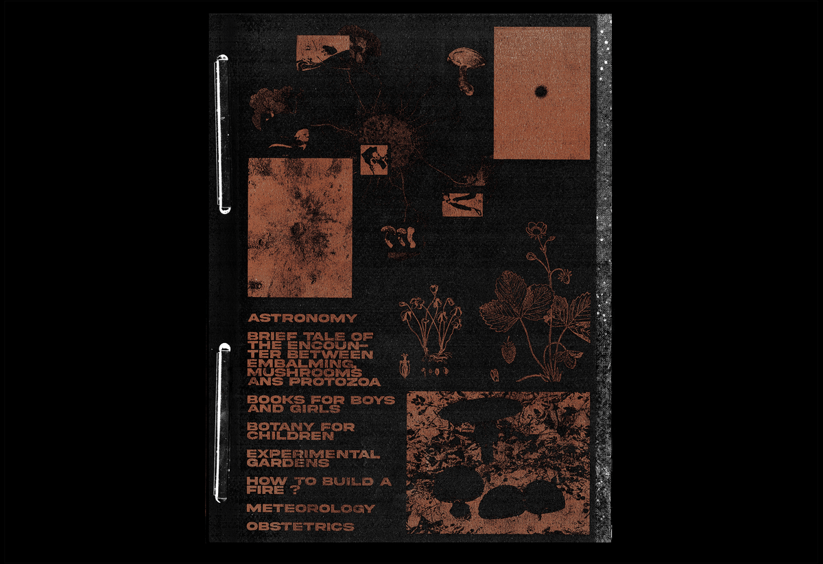 Survivor Library — Editions Païen